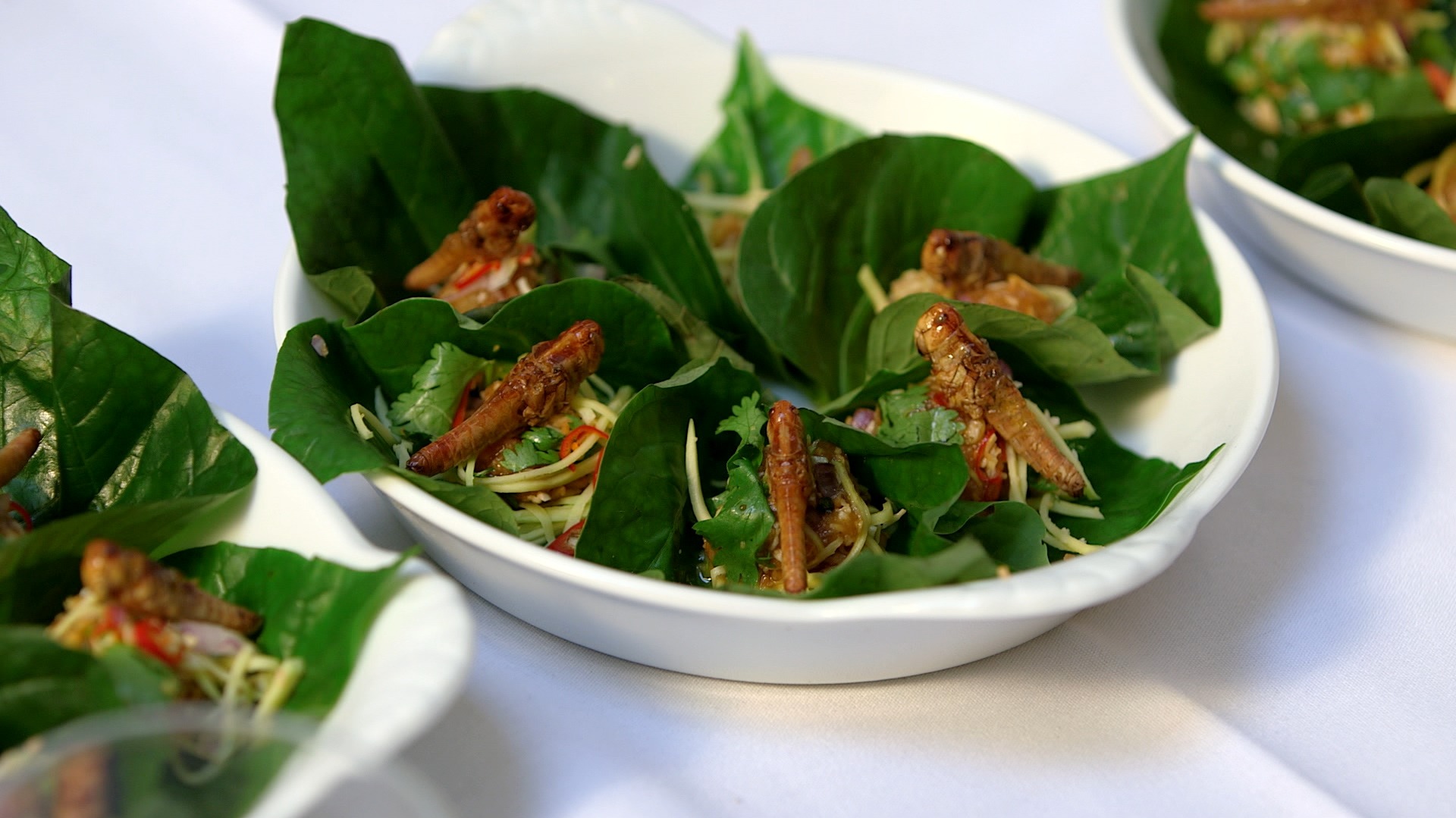 Tonight: The Food We Eat - Future Foods | ITV News