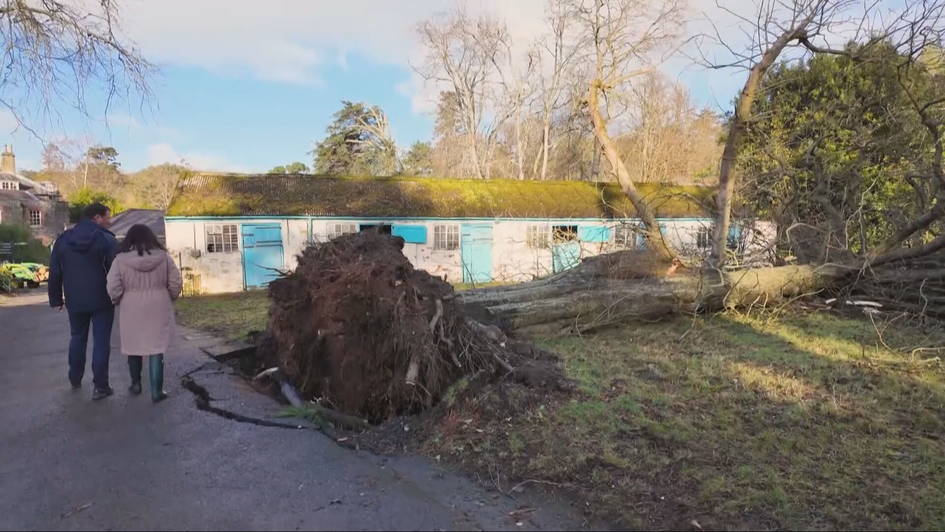 Storm Eowyn: Sombre week clearing 10,000 felled trees at Mount Stewart ...