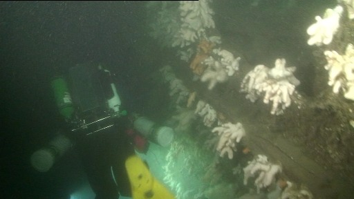 Divers journey down to the wreck of HMS Pathfinder to lay a wreath a ...
