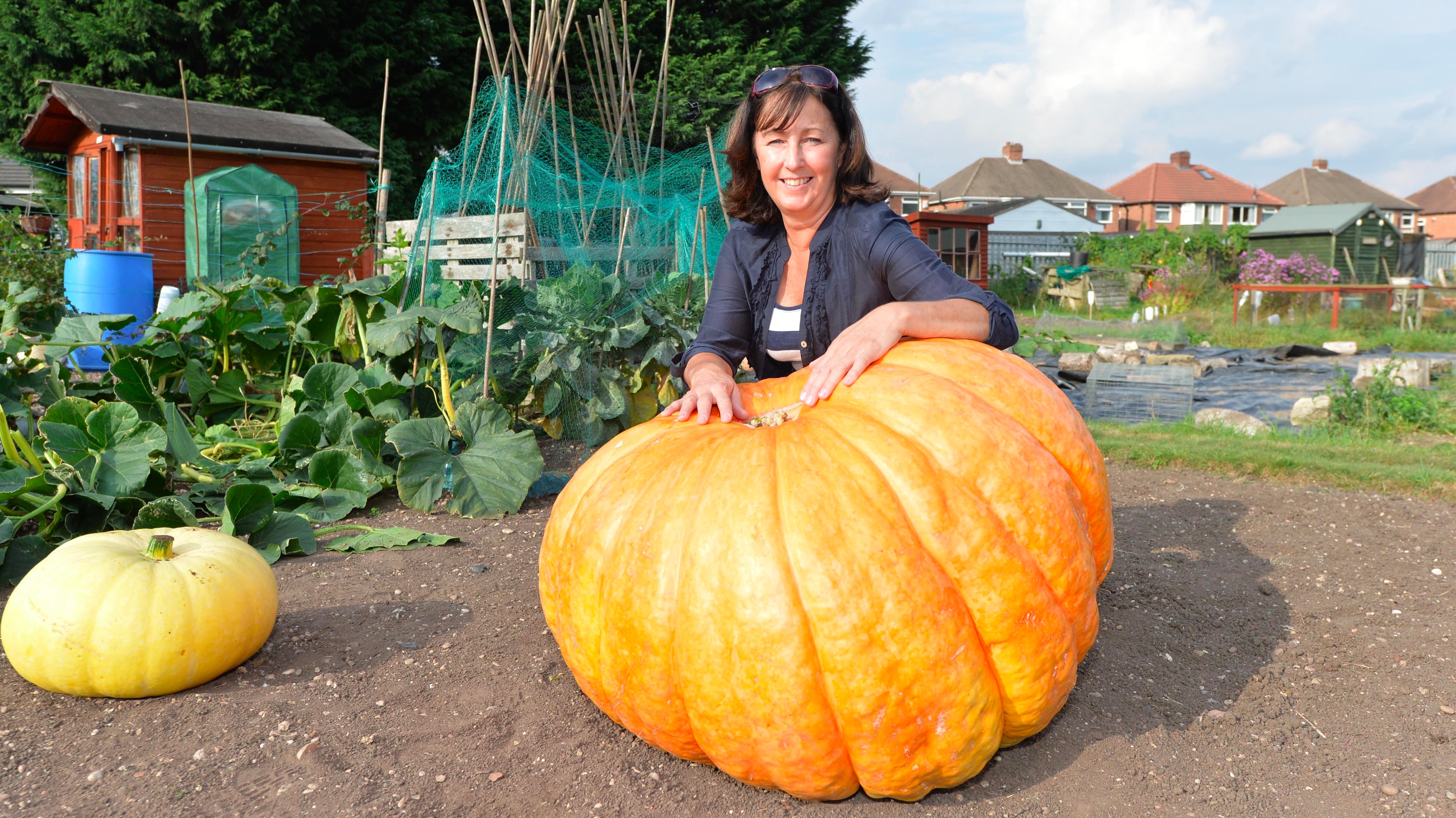 Woman grows giant pumpkin to ease heartache | ITV News Central