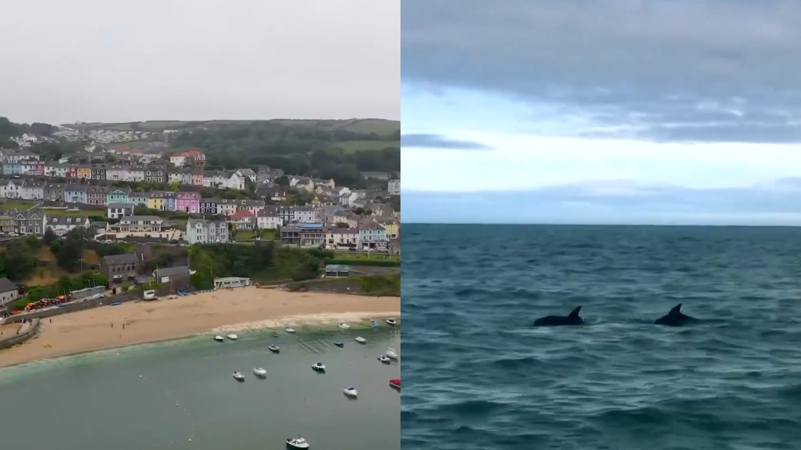 Welsh Water admits illegally spilling untreated sewage into the sea and ...