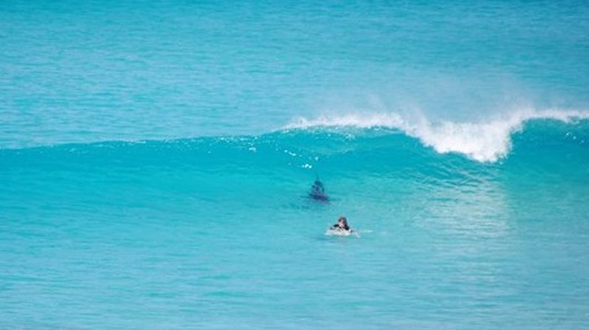 Pictures show surfer's near-death encounter as he stayed in the water ...