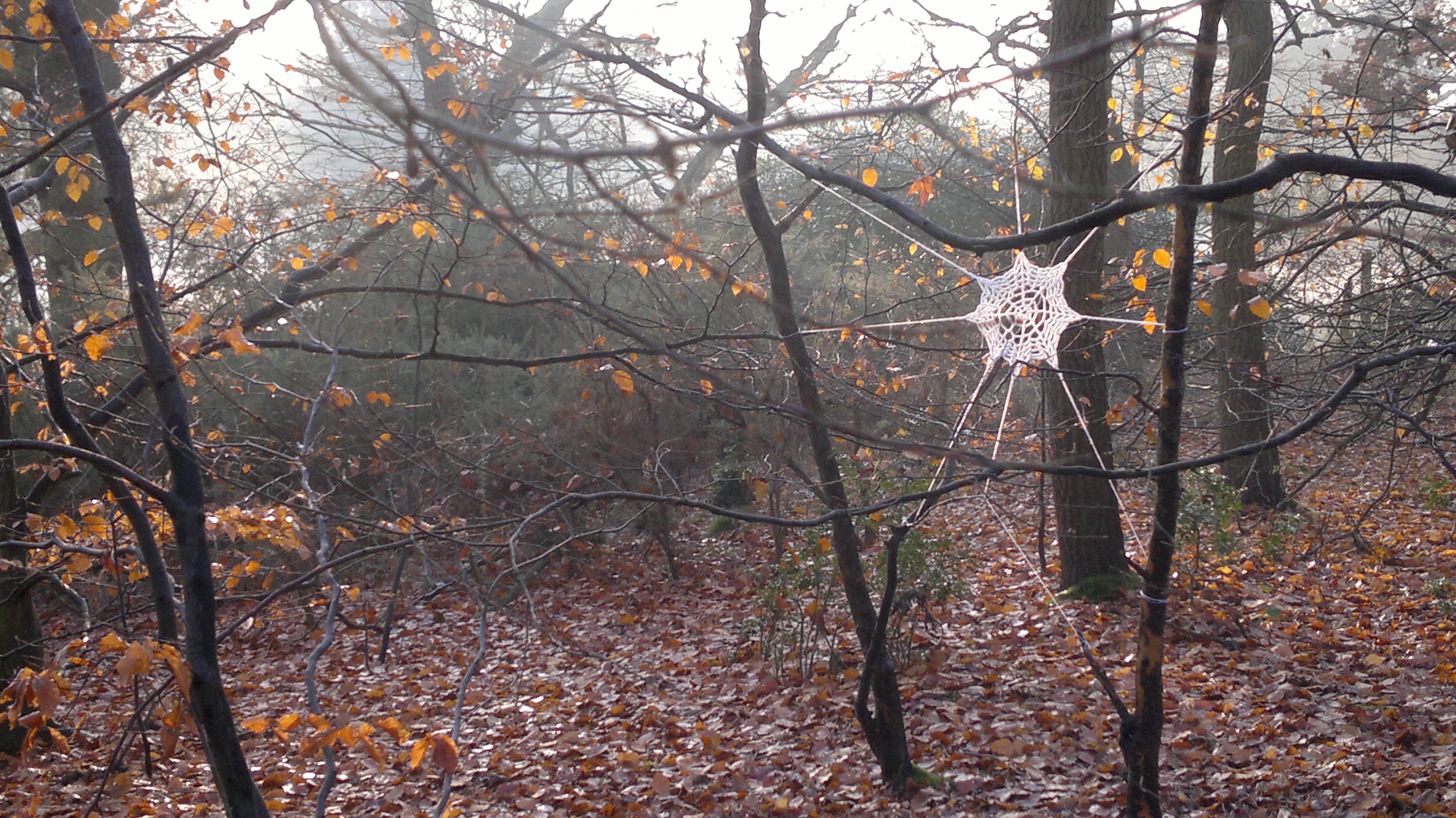 Sunny spells developing: Anglia Weather update | ITV News Anglia