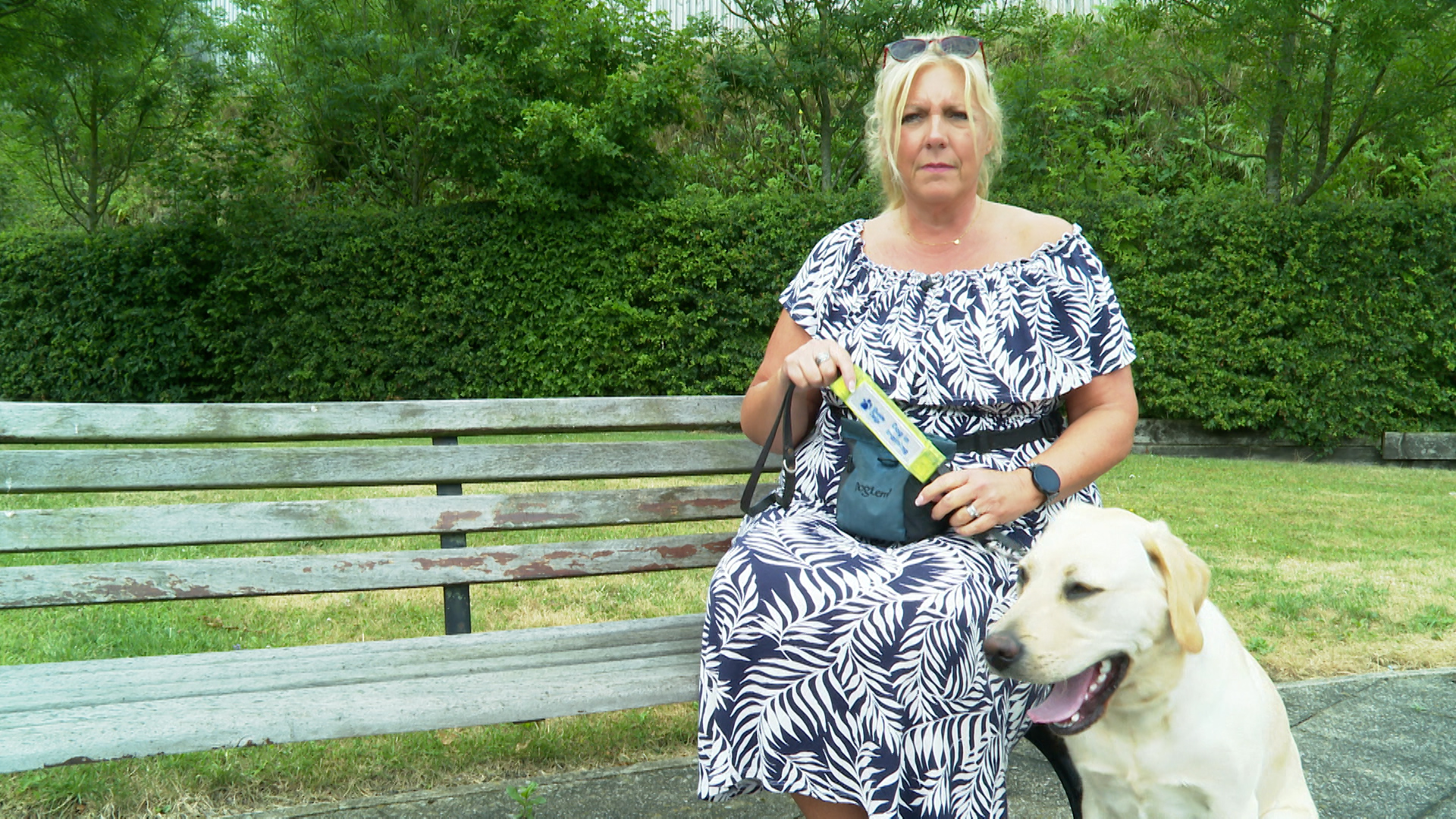 Guide Dogs charity seeks more puppy trainers across the North West ...