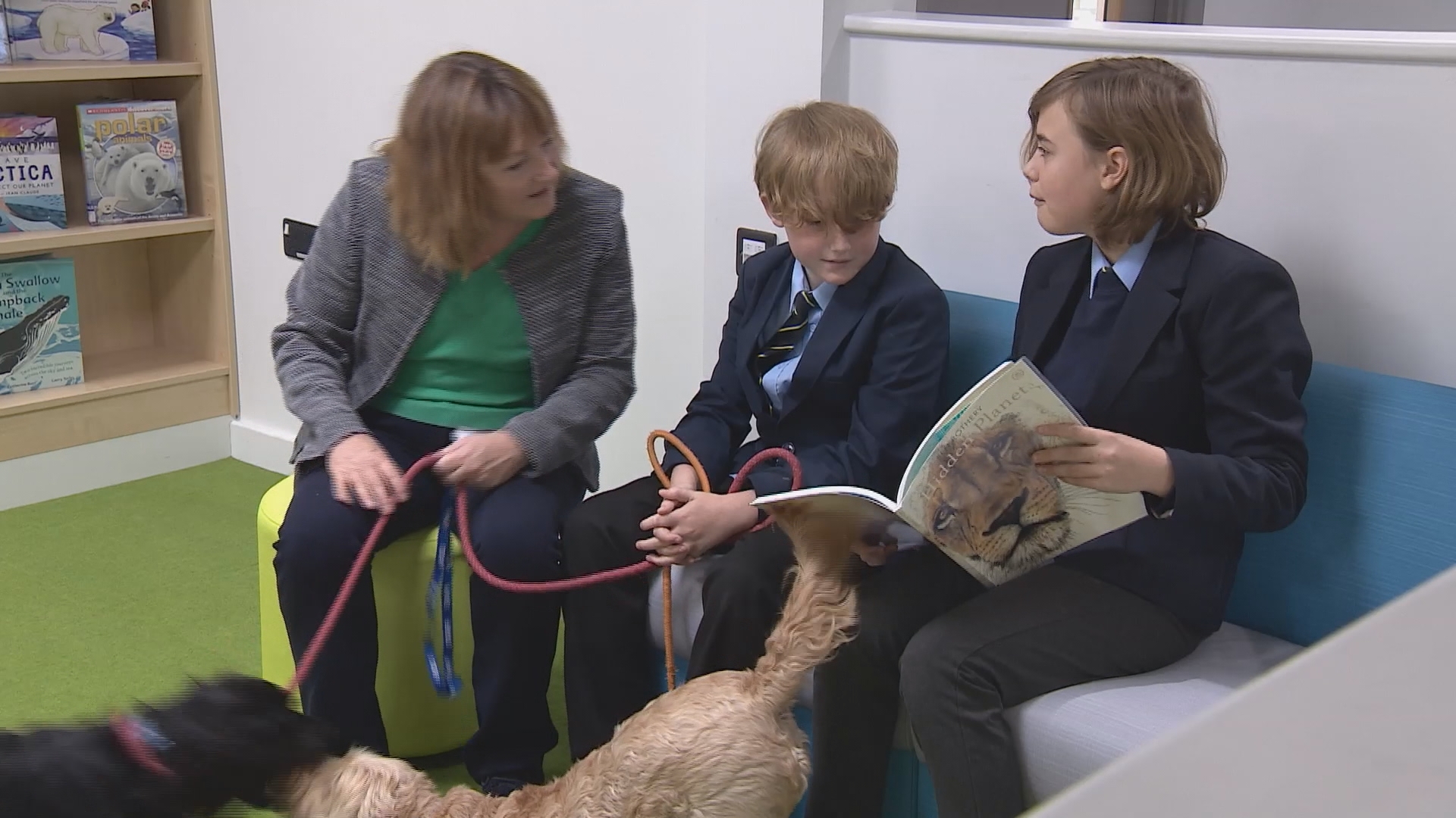 First autism school of its kind in the country opens in Basingstoke ...