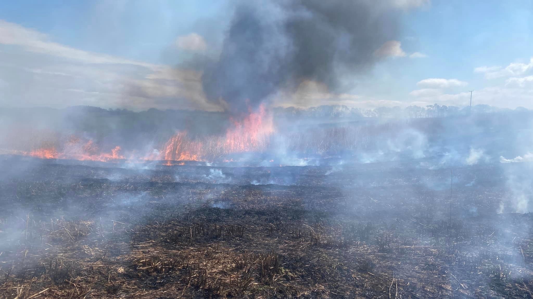 Somerset fire crews battle two large crop fires within 24 hours | ITV ...