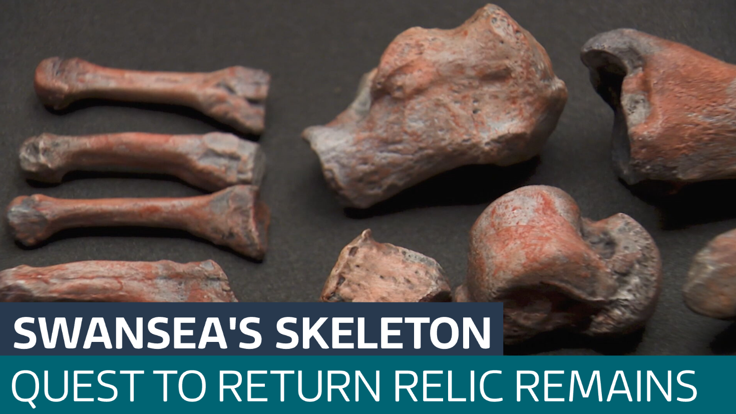 Call for warrior skeleton discovered in Gower cave to return home ...