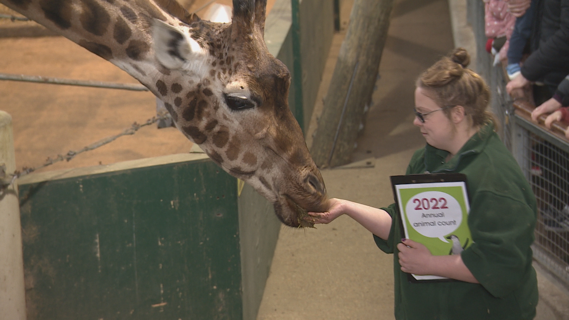 Thousands of animals are counted as Marwell Zoo begins its annual ...