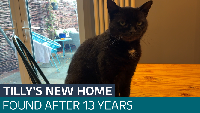 A cat which vanished more than a decade ago has been found and re-homed ...