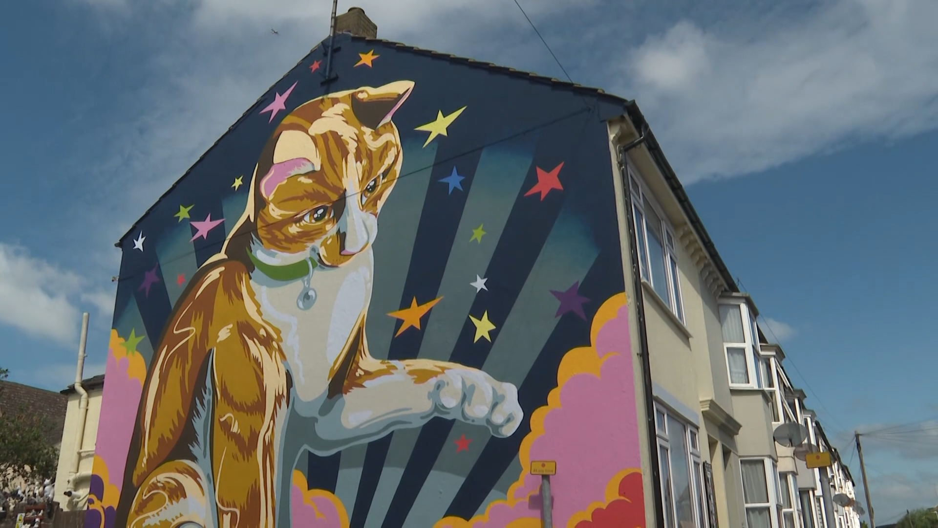 Giant cat on side of house among 15 striking artworks to pop up in ...