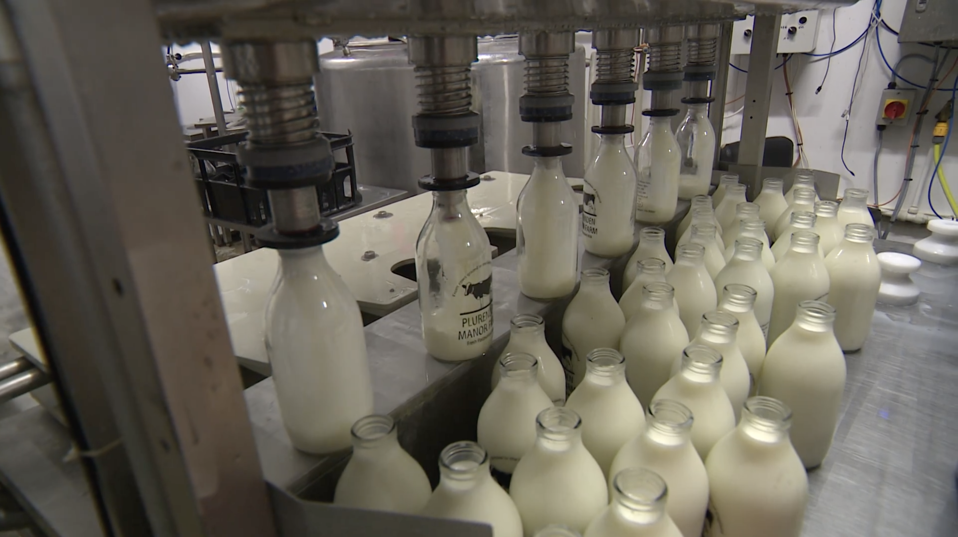 How milk rounds saved Kent farm award finalist | ITV News Meridian