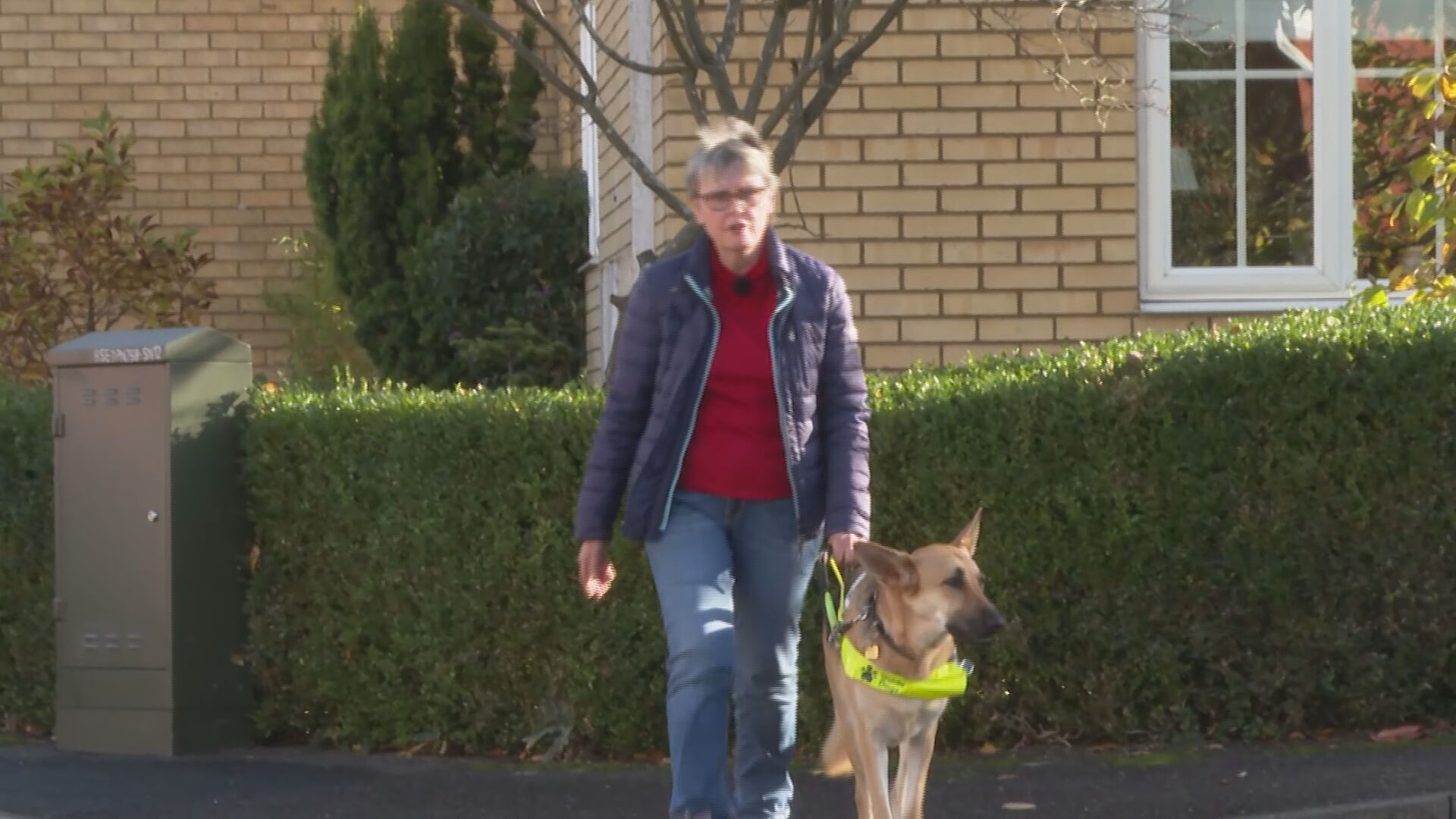 Visually-impaired woman describes how guide dog is a lifeline as ...