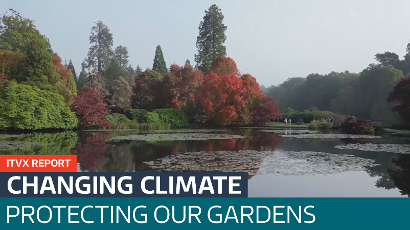 New project underway to create climate resilient National Trust garden ...