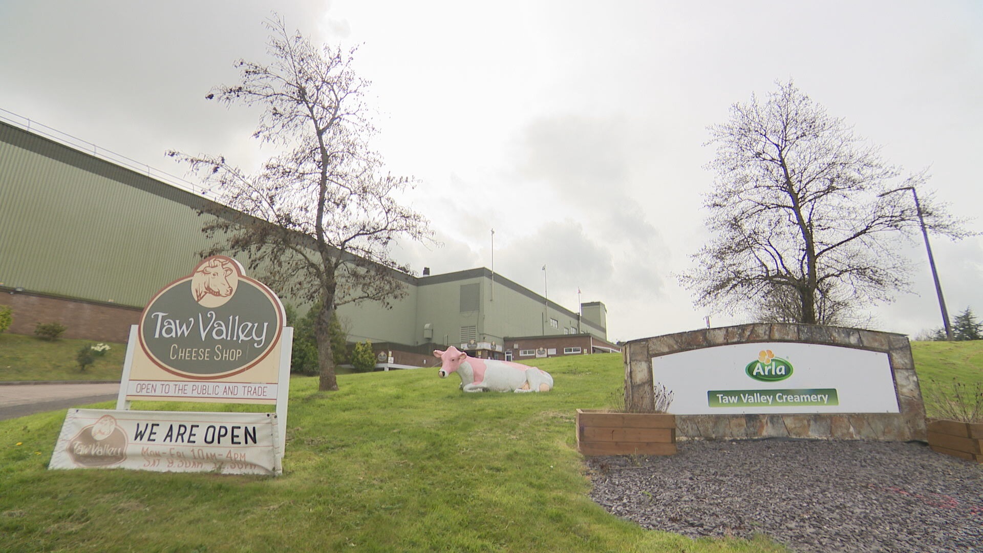 Taw Valley Creamery investment to bring 100 jobs to Devon | ITV News ...