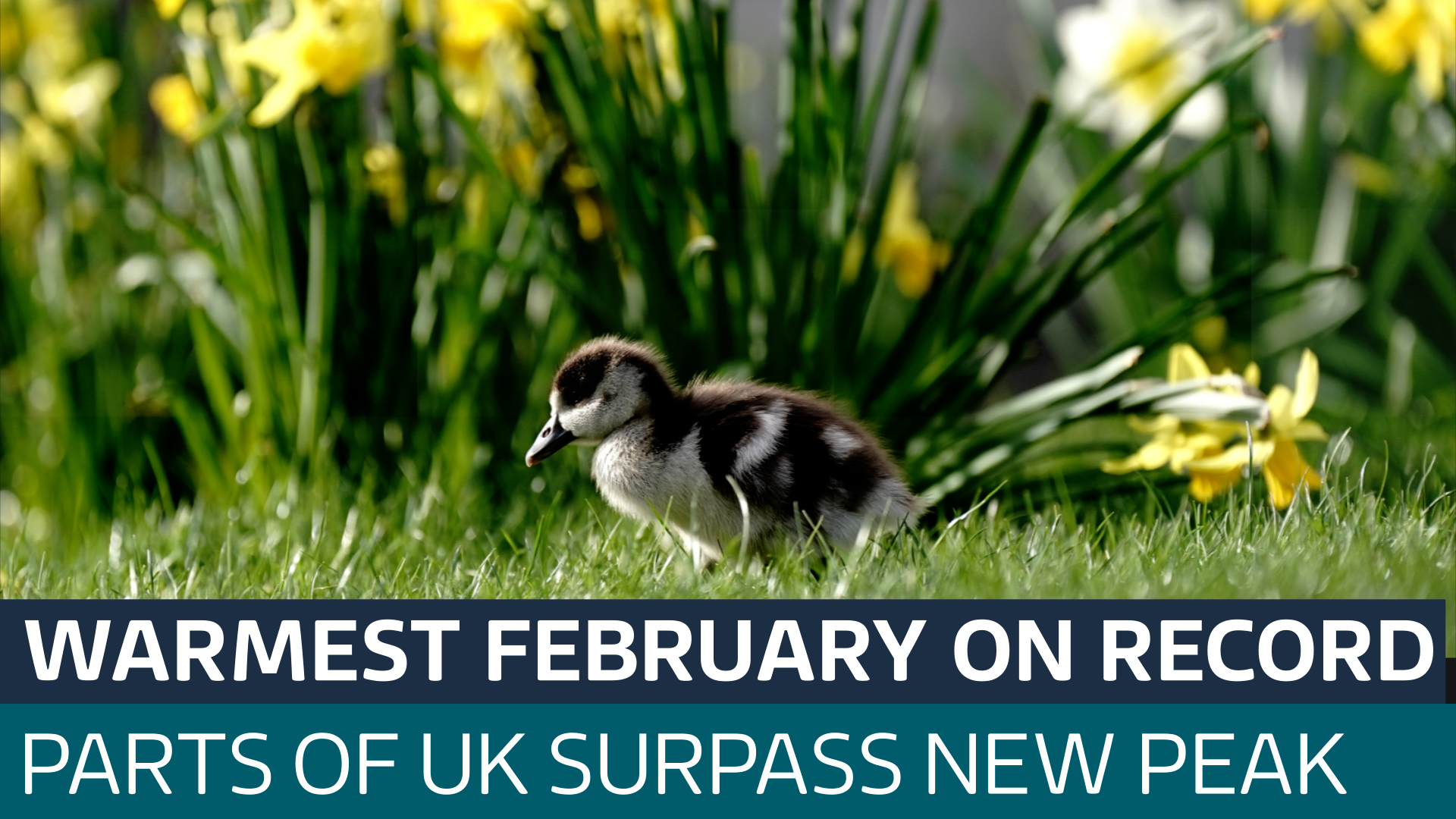 Warmest February on record with winter washout for England and Wales ...