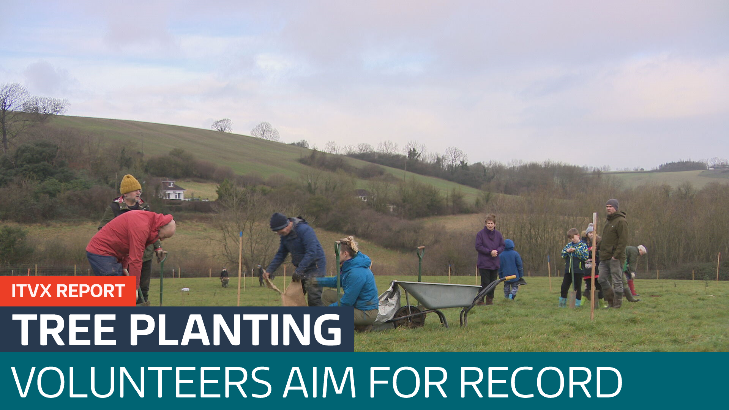 Charity wants volunteers to plant record breaking number of trees in ...