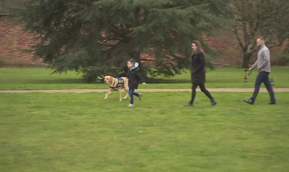 'Buddy' guide dog helps six-year-old boy conquer his fears | ITV News Wales
