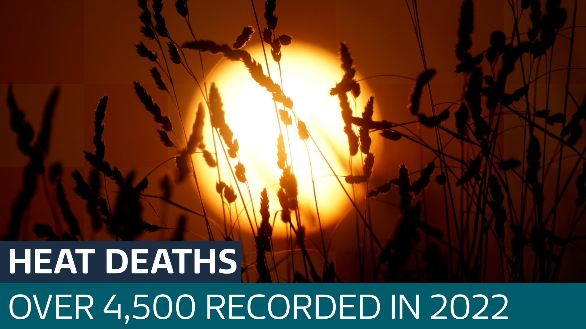 Record number of heat-related deaths in 2022 - Latest From ITV News
