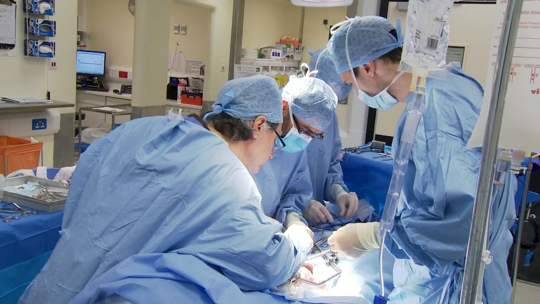 Jersey Hospital trials early detection scheme for heart failure as ...