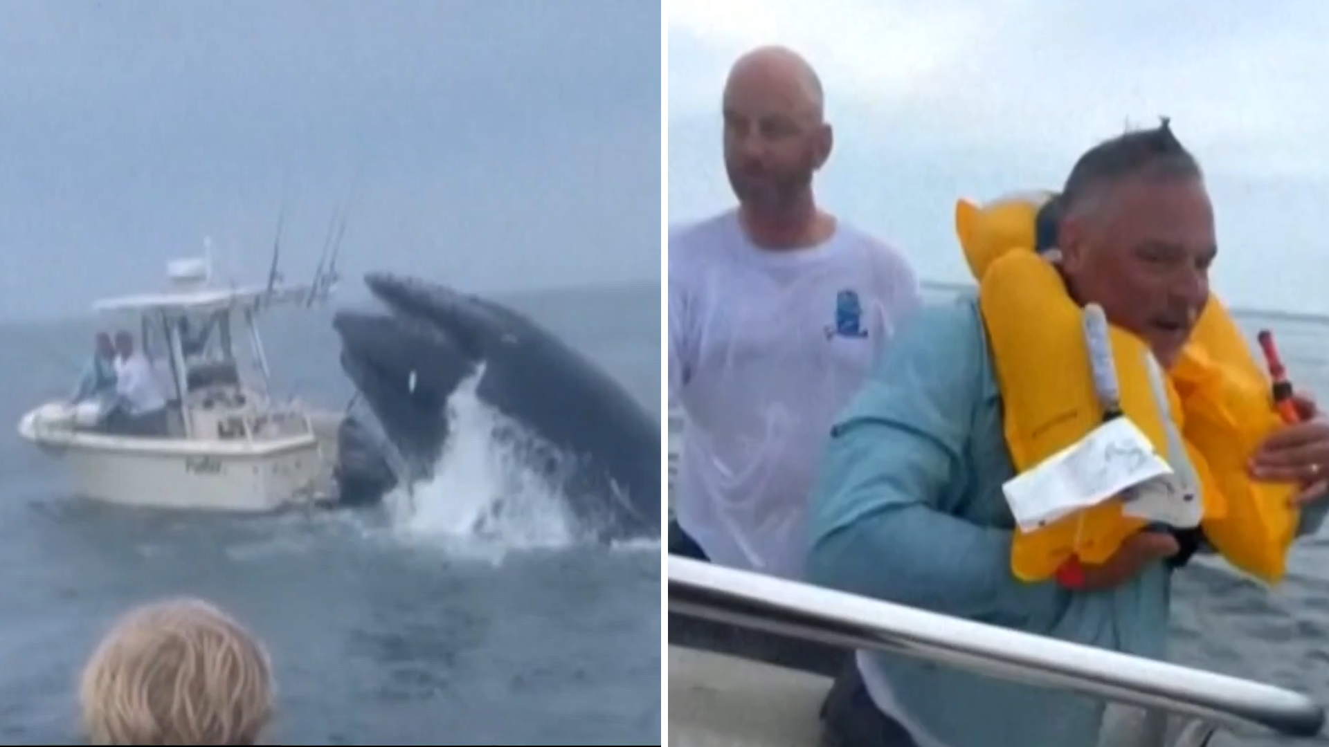Survivors speak of shock after whale capsizes fishing boat off New ...