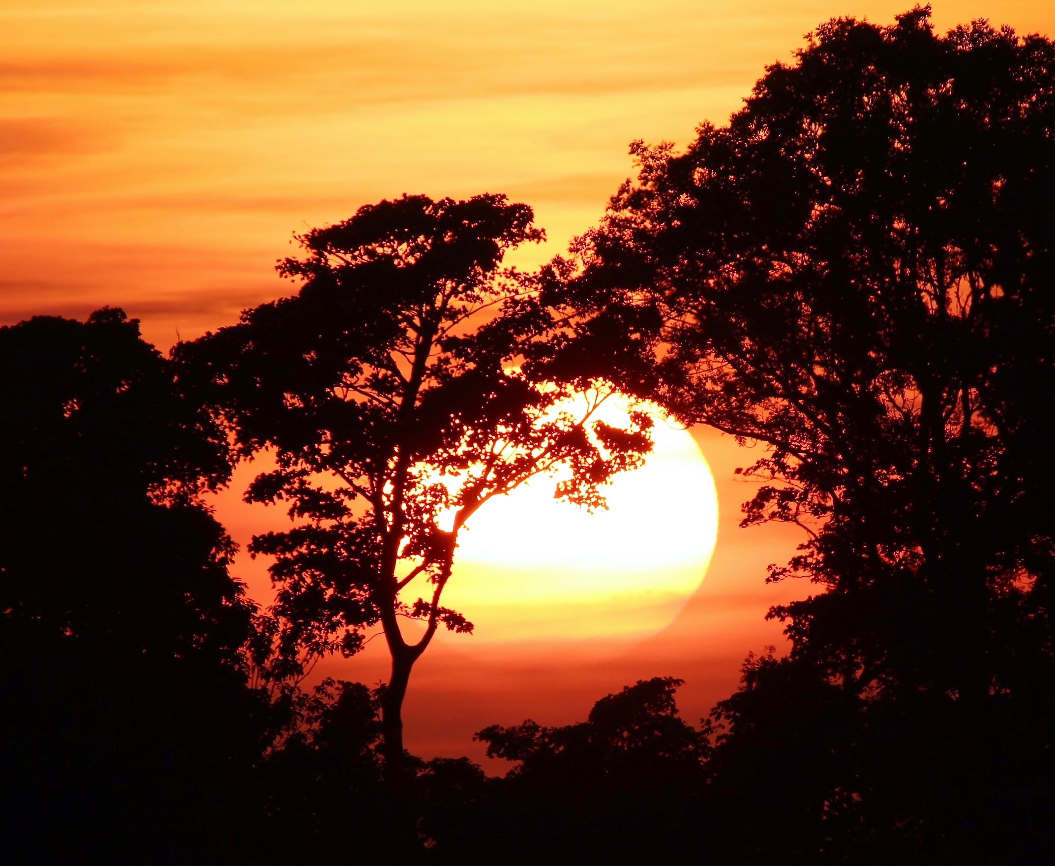Summer 2020 - Warmer, wetter yet duller than average | ITV News Granada