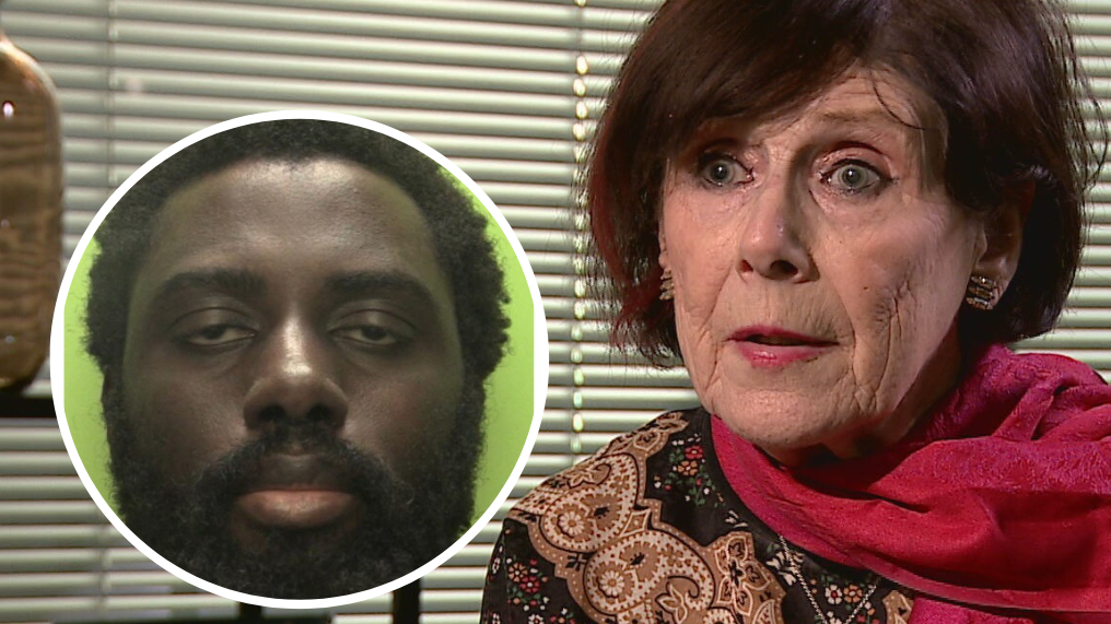 Why did the mental health care for Nottingham attacks killer Valdo ...