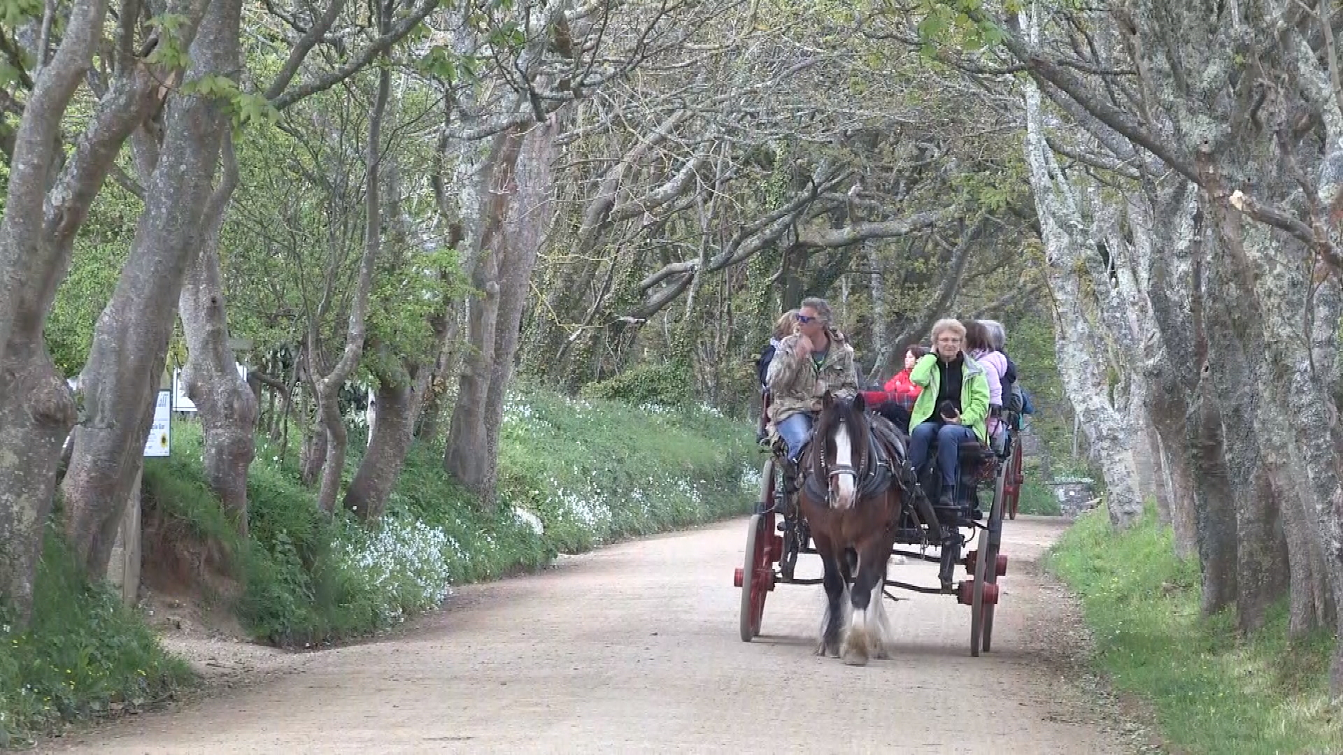 Sark entrepreneur trying to bring 100 new residents to the island to ...