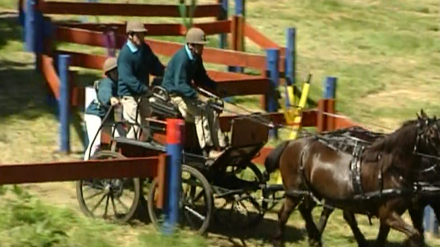 How Prince Philip's love of carriage driving inspired others to take up ...