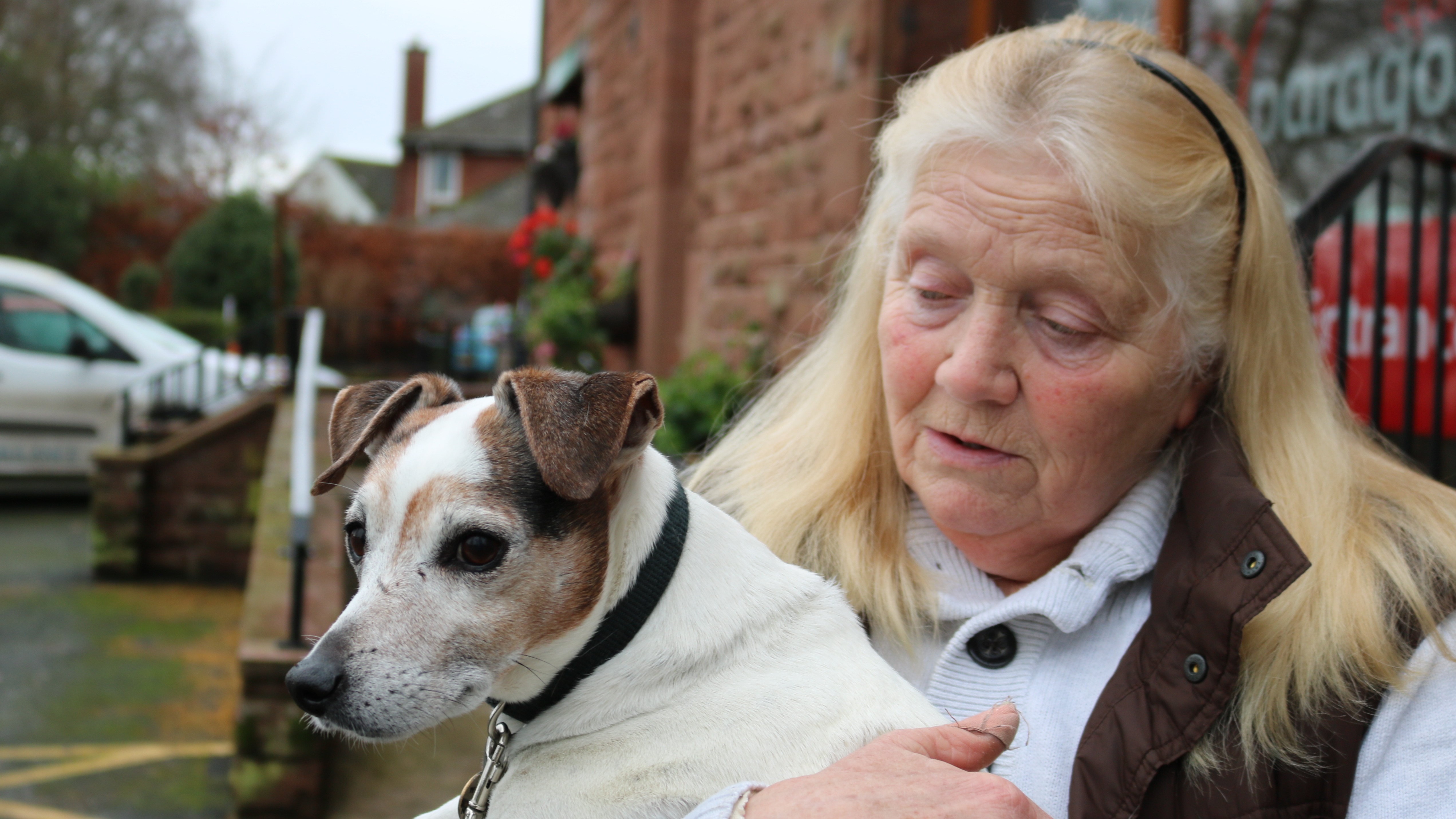 Cumbrian vet in need of more dog blood donors - here's how you can get ...
