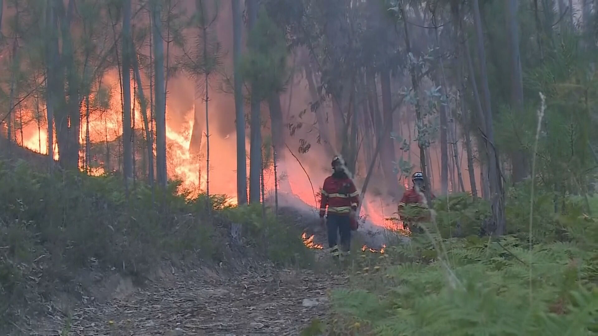 More than 1,000 firefighters tackle wildfires in Portugal amid extreme ...