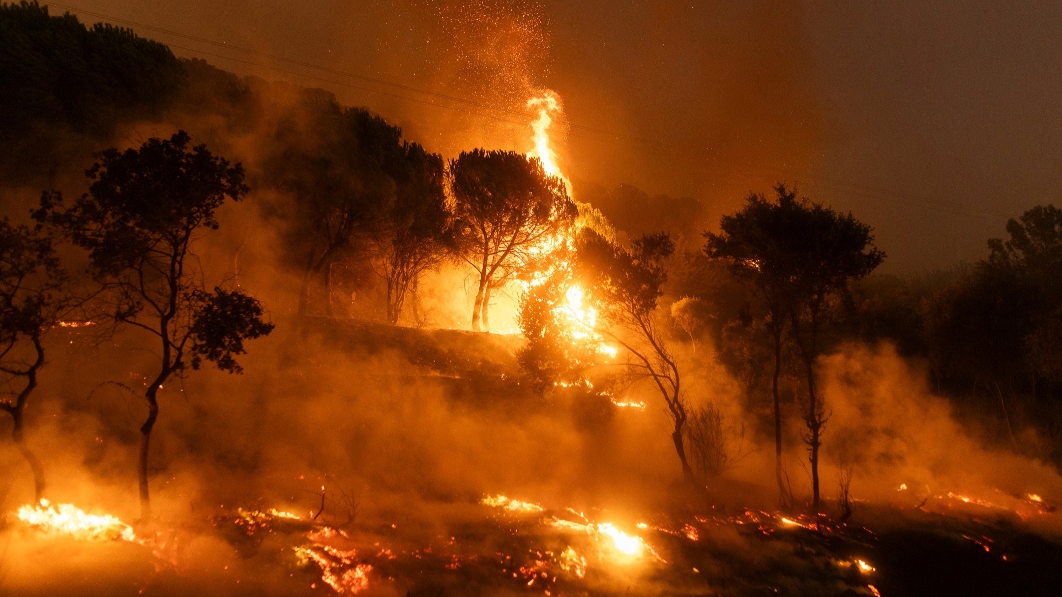 Death, drought and devastation: Europe faces 'huge number' of climate ...