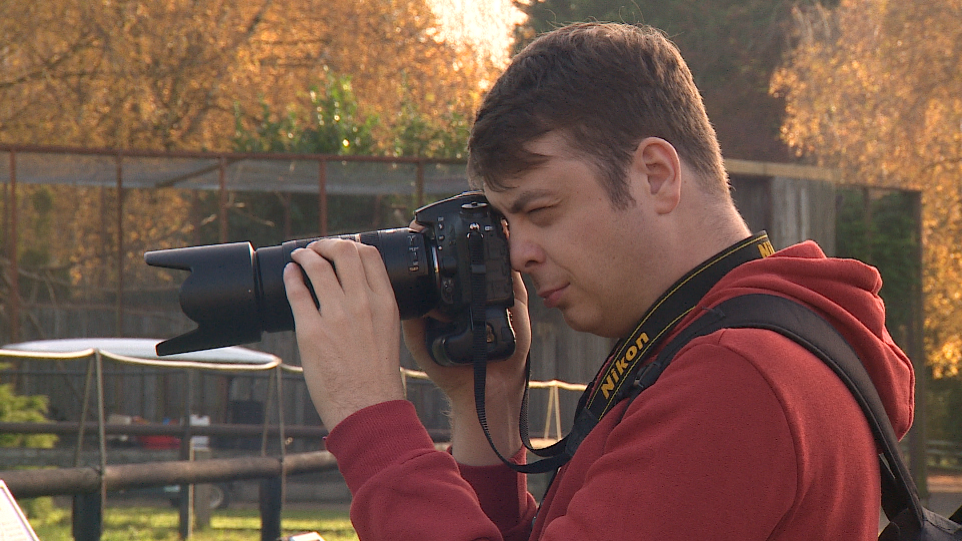 Autistic wildlife photographer becomes zoo ambassador | ITV News Anglia