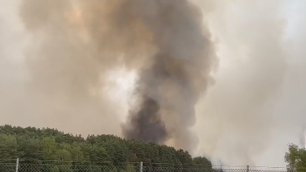 More than 12 hectares alight as multiple fire crews tackle large ...