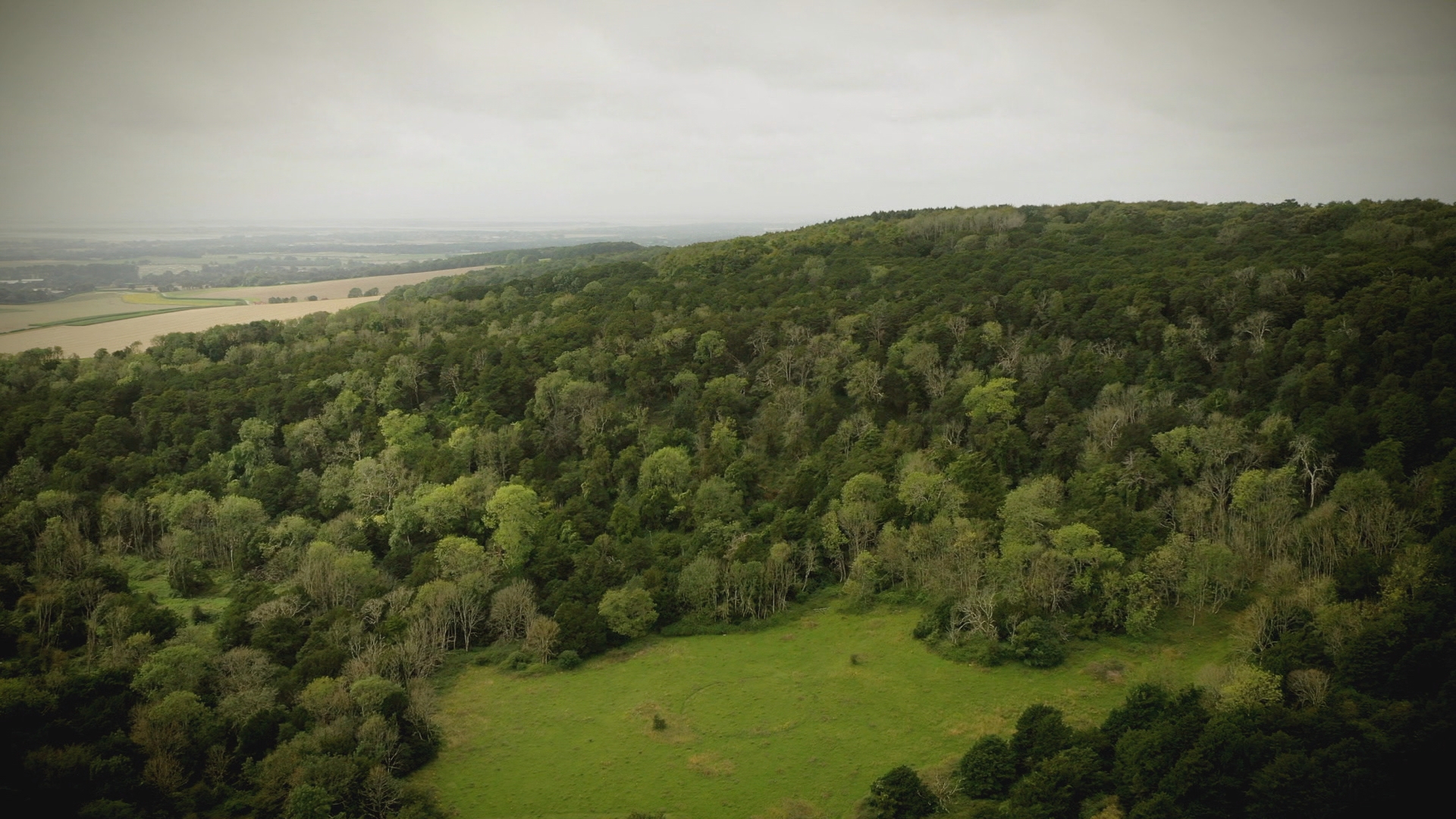 Spirit of the South: The hidden history of Kingley Vale | ITV News Meridian
