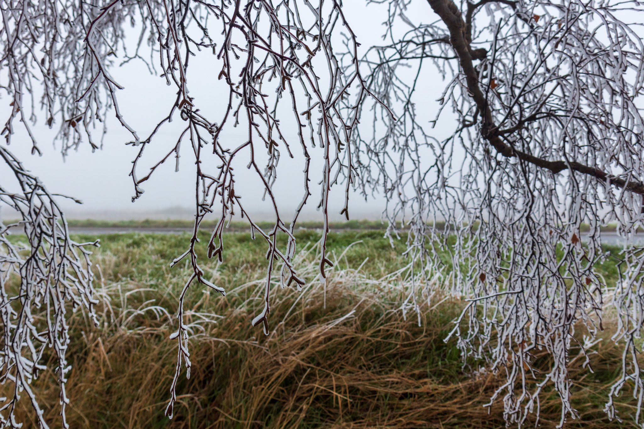 Met Office Issues Weather Warning As Freezing Fog To Sweep Across South