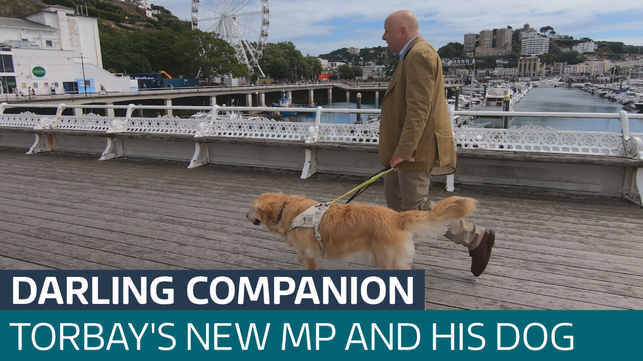 Meet Torbay's new MP and his guide dog - Latest From ITV News