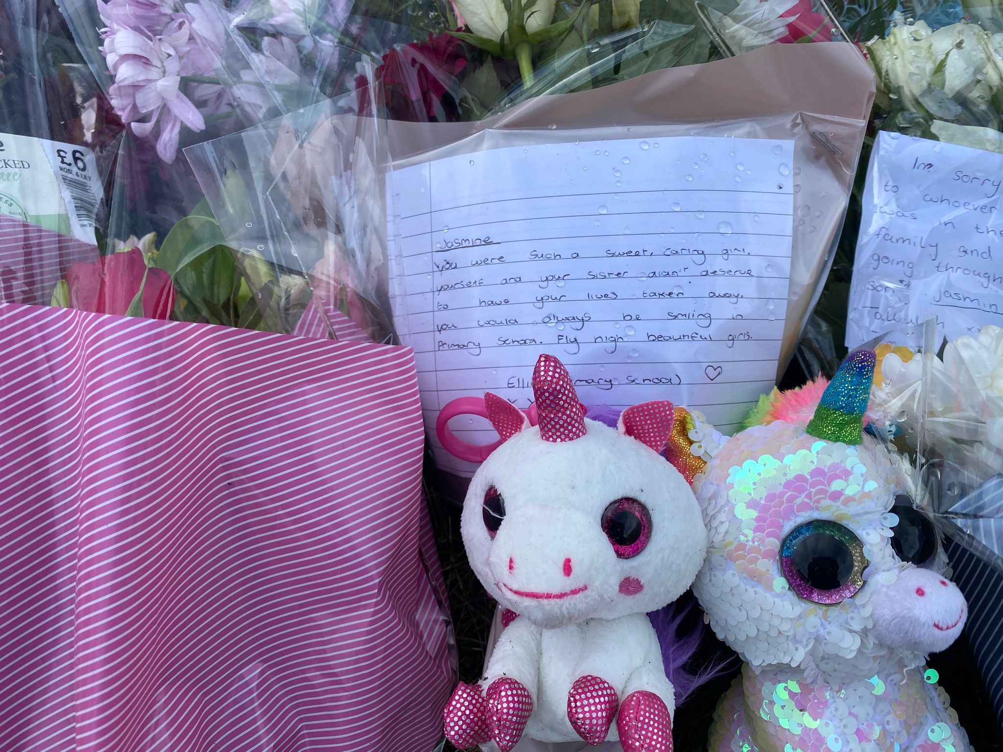Costessey deaths: Schools offer support to pupils after two girls found ...