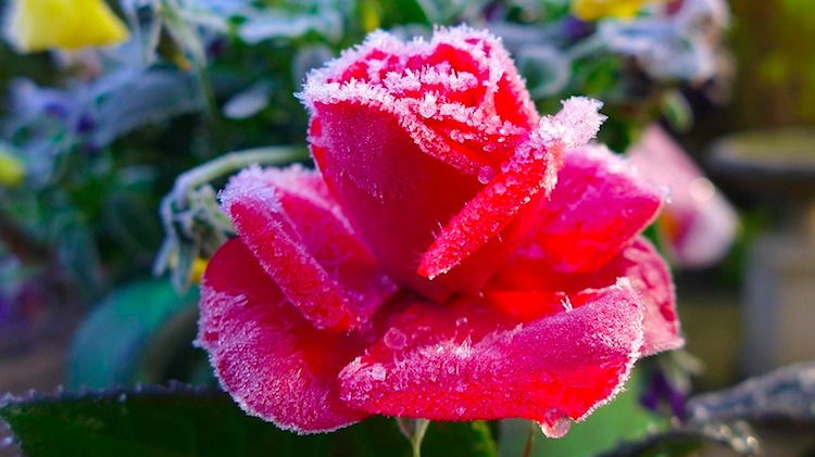 Simon's Blog - Winter or Spring? | ITV News Meridian