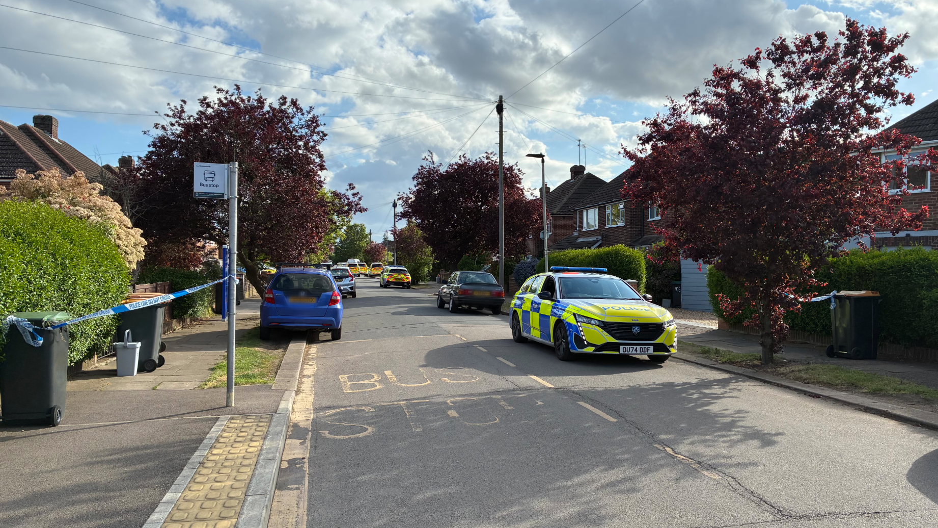 Armed police shoot man dead in Bedford | ITV News Anglia