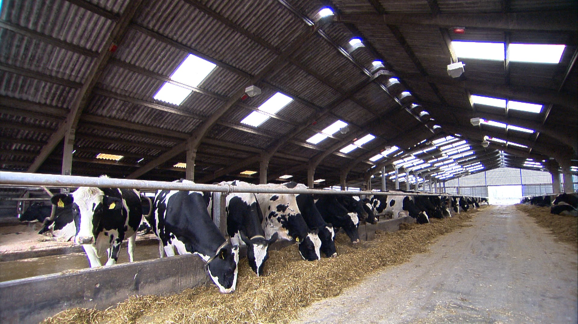 Wales this Week: The Cost of Cheap Milk | ITV News Wales