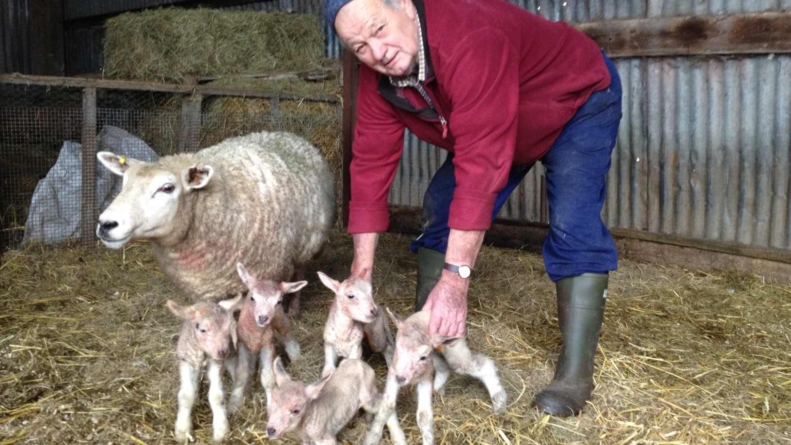 Ewe won't believe the size of this baby bundle | ITV News West Country
