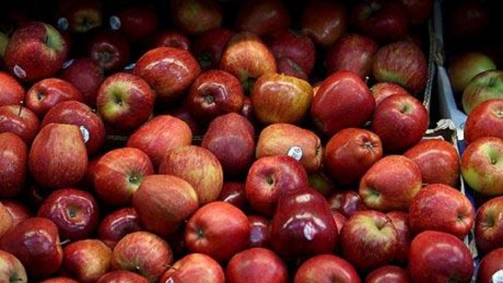 Fruit farmers suffer in deluge | ITV News Meridian