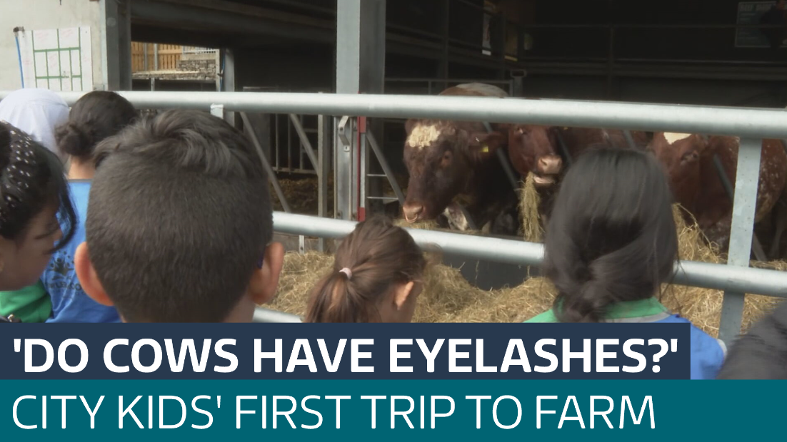 Inner city children given taste of rural life - Latest From ITV News