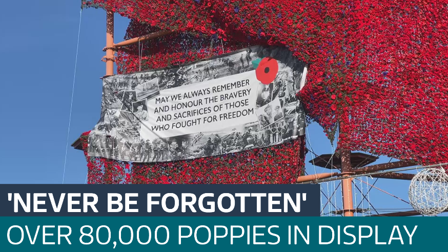 Thousands of knitted poppies make up 'largest ever' poppy installation ...