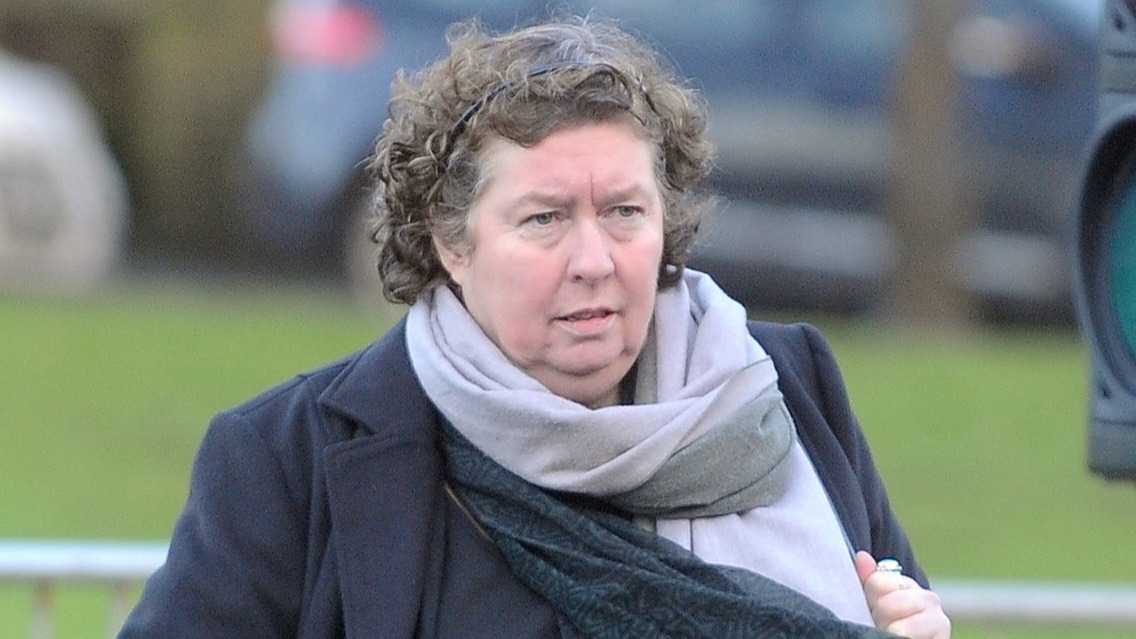 Plaid Cymru's Helen Mary Jones vows to attend training after alleged ...