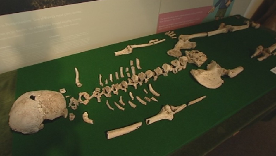 Stone Age skeleton coming home to Llandudno permanently | ITV News Wales