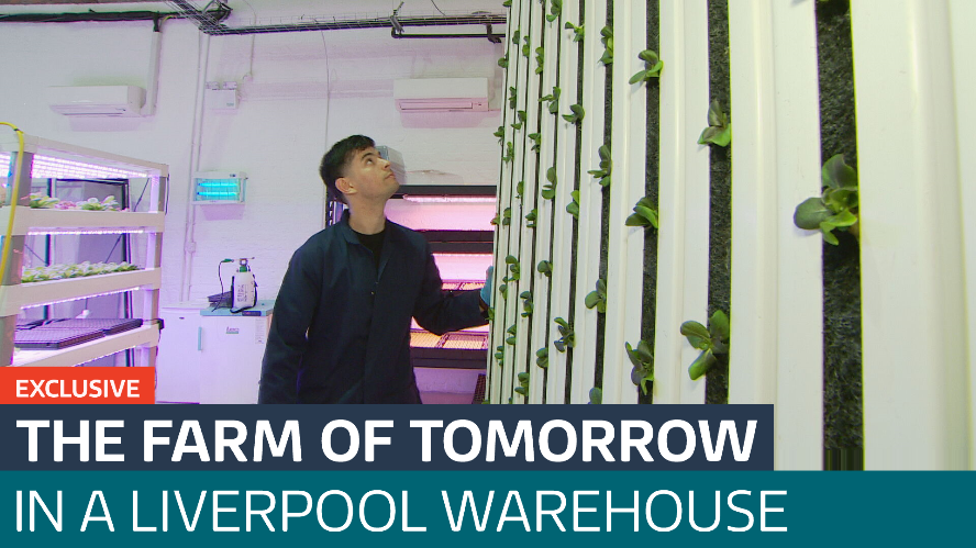 Growing up - the high tech farm in a Liverpool warehouse - Latest From ...