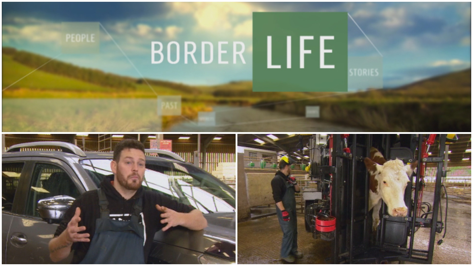 Border Life: How a Scottish hoof trimmer became an internet sensation ...