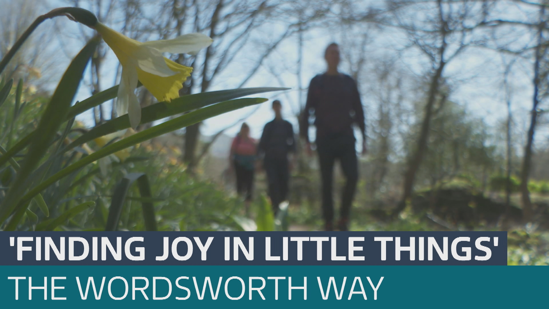 William Wordsworth: The new Lake District walking route among a 'host ...