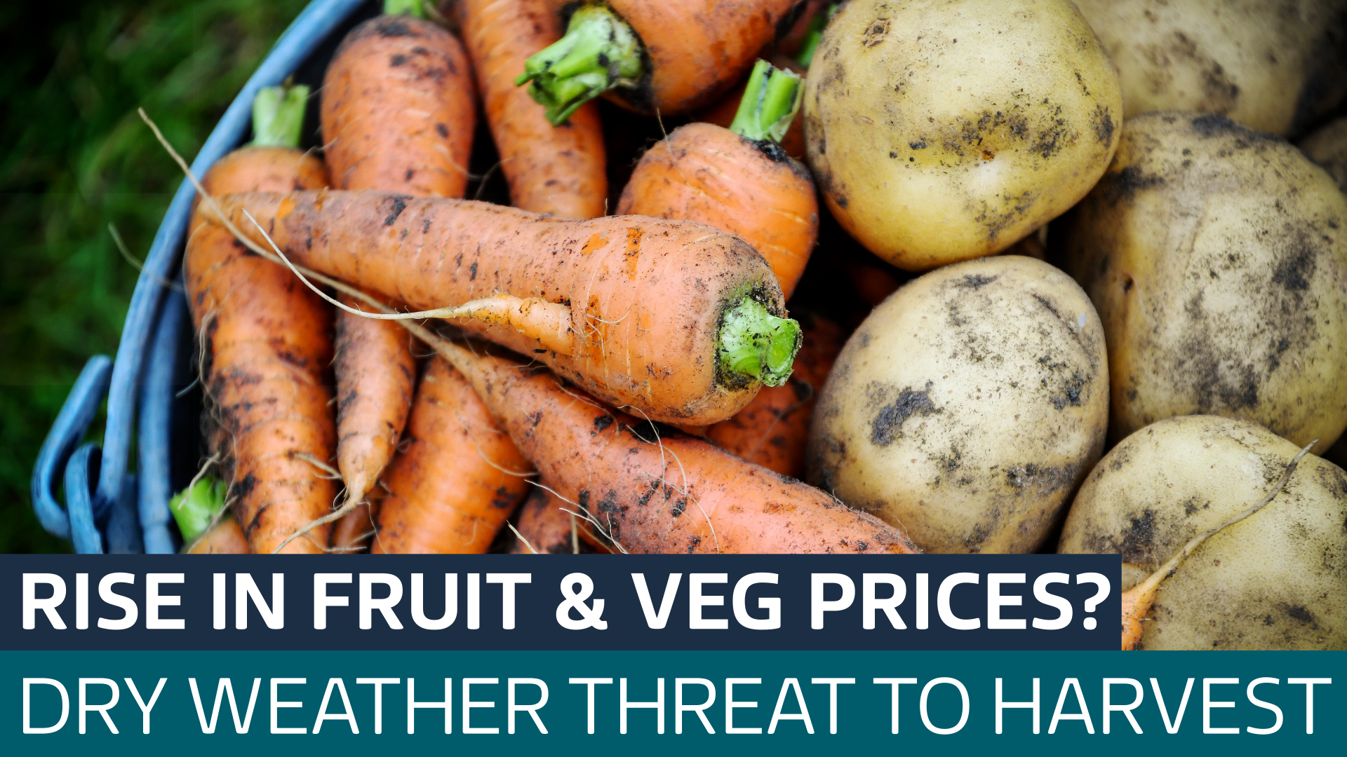 'Complete disaster': How high will price of vegetables go after hot ...